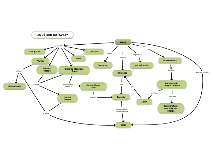 Aves - Mind Map